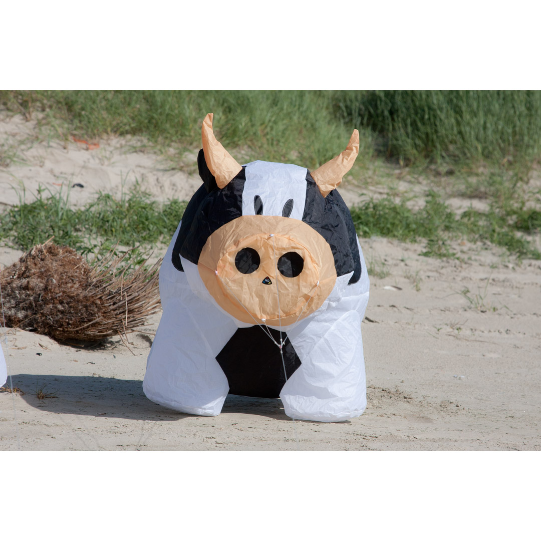 Black Cow Bouncing Buddy | Klig's Kites