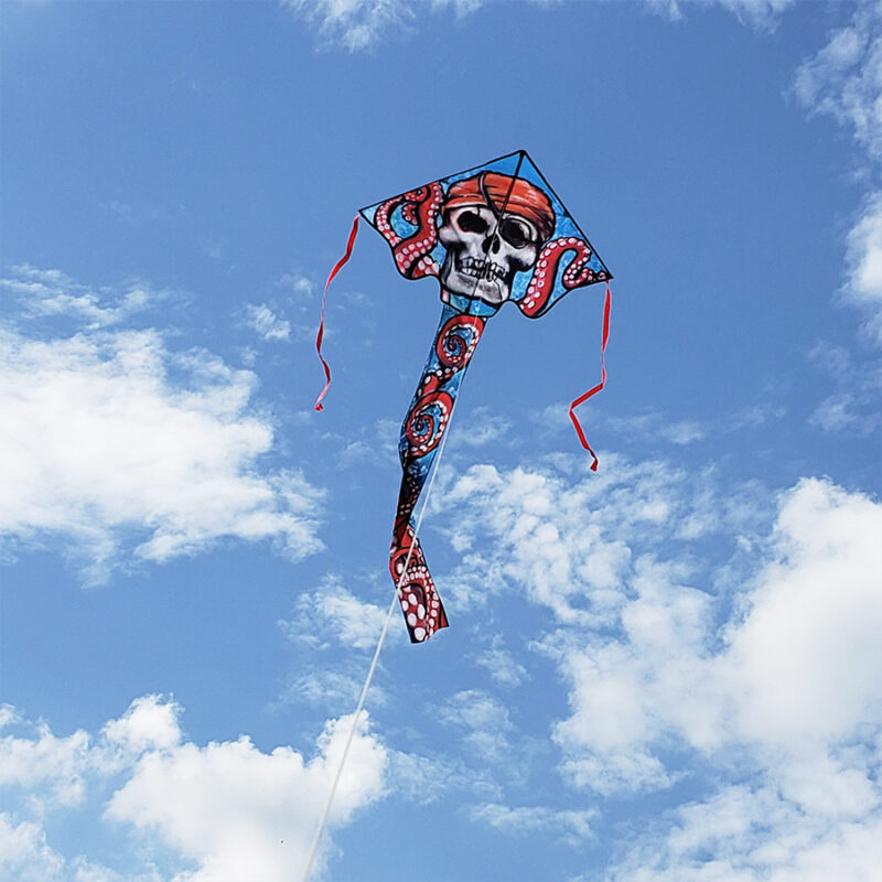 American Gothic Rokkaku Kite | Klig's Kites