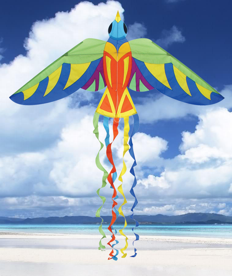 Fantasy Bird Kite | Klig's Kites