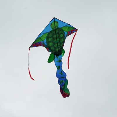 45” Sea Turtle Fly-Hi Delta Kite | Klig's Kites