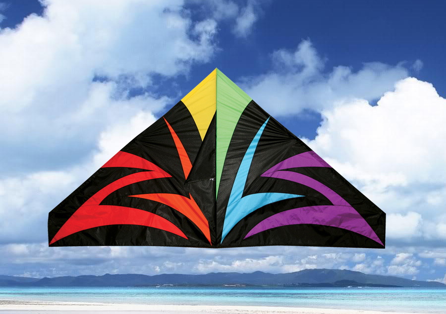 55” Black Lightning Delta Kite | Klig's Kites