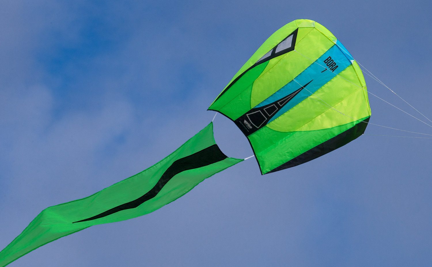 Parafoil Kites | Klig's Kites
